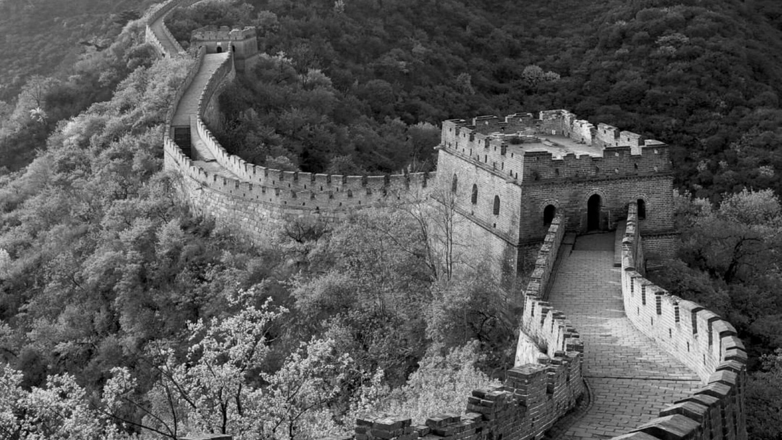 Bank of China: Digital yuan transactions volume crossed $14B mark ...